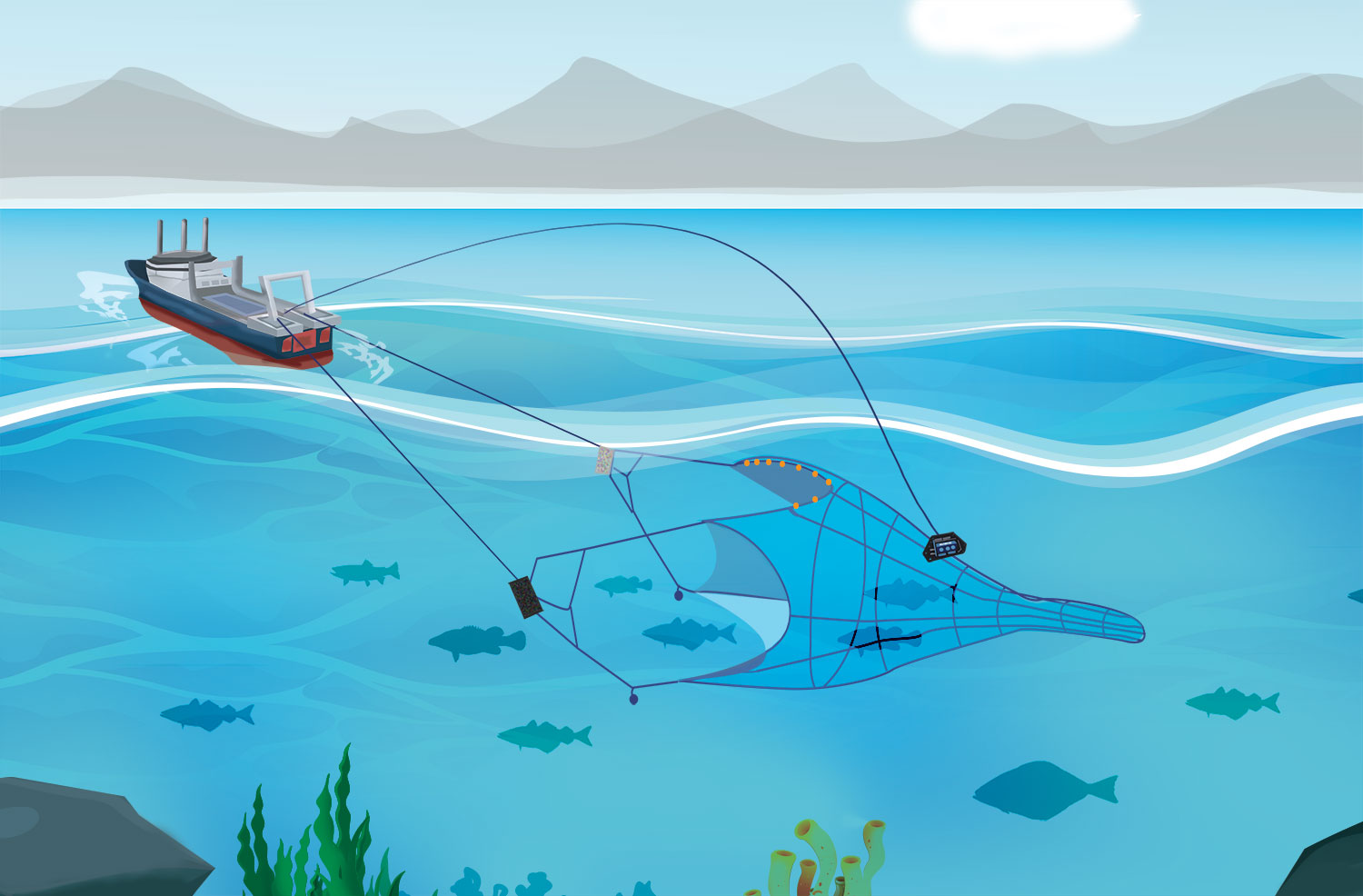 SeaTrex HD - Live Feed - Trawl Net Camera | Splashcam